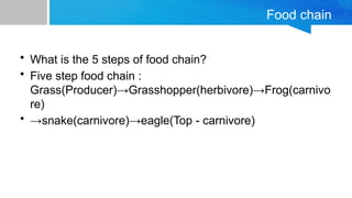 Food Chain and different levels of food chains,role of producers ...