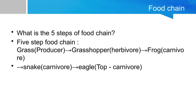 Food Chain and different levels of food chains,role of producers ...