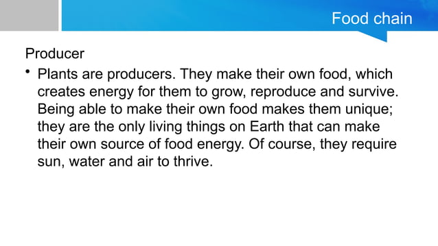 Food Chain and different levels of food chains,role of producers ...