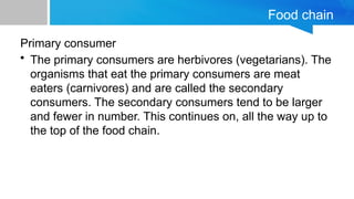 Food Chain and different levels of food chains,role of producers ...