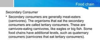 Food Chain and different levels of food chains,role of producers ...