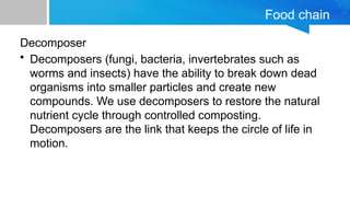 Food Chain and different levels of food chains,role of producers ...