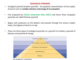 Aquatic Food chain,Food web, Ecological pyramids.pdf