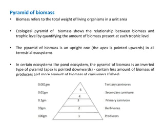 Aquatic Food chain,Food web, Ecological pyramids.pdf
