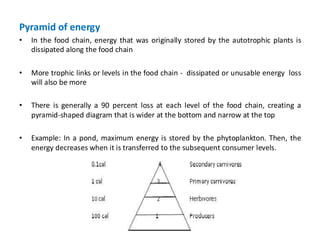 Aquatic Food chain,Food web, Ecological pyramids.pdf