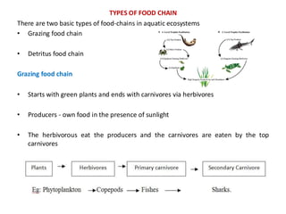 Aquatic Food chain,Food web, Ecological pyramids.pdf