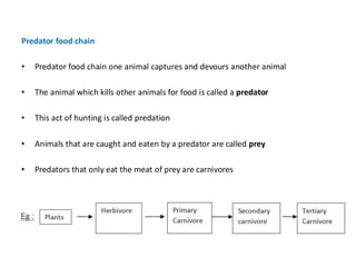 Aquatic Food chain,Food web, Ecological pyramids.pdf