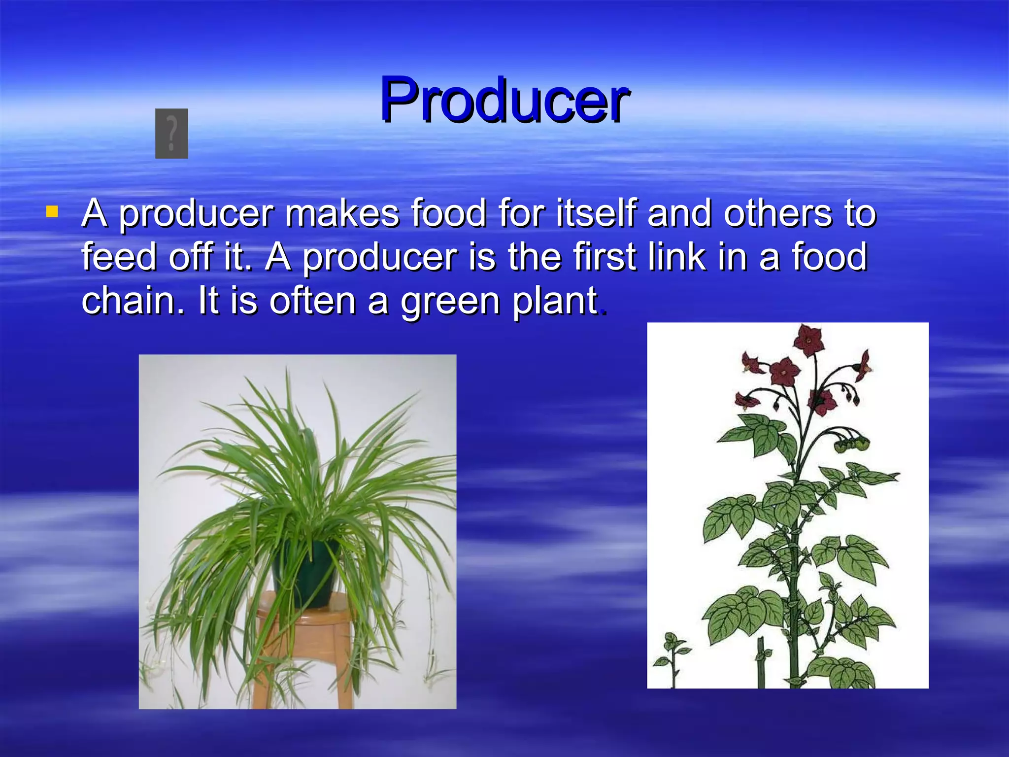 Food chain.ppt amit and mary | PPT | Food & Drink