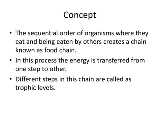Food chain1 by Deepak Kumar Goyal......pptx