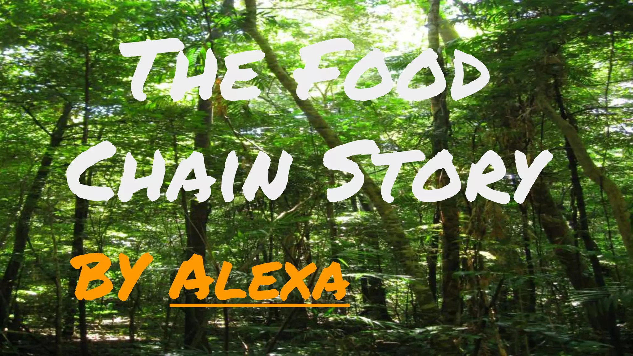 The Food Chain Story | PPTX
