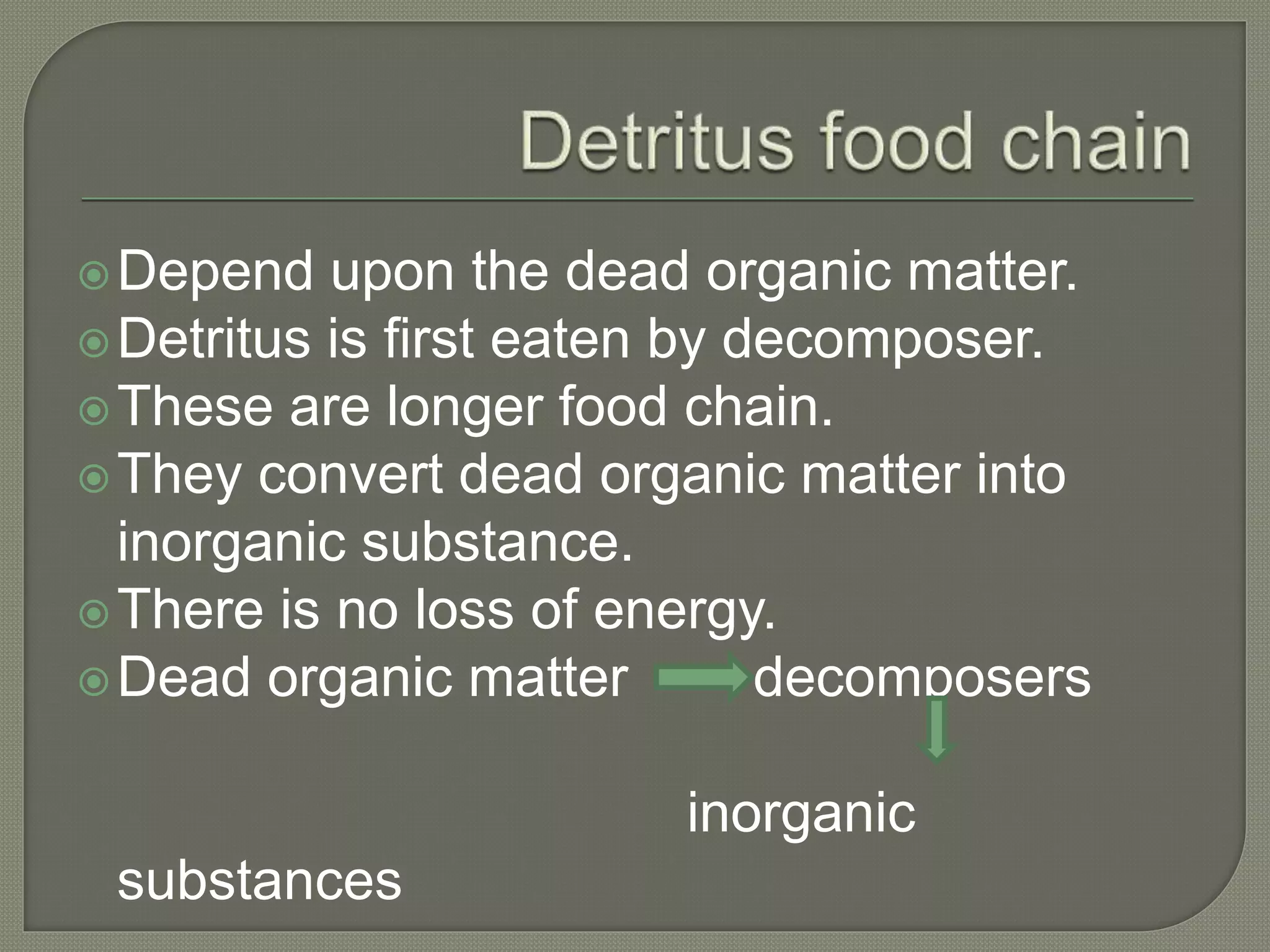 Food chain and food web | PPTX
