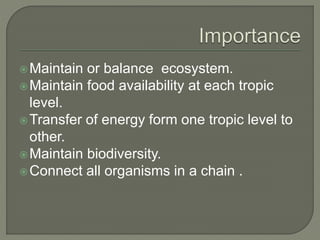 Food chain and food web | PPTX