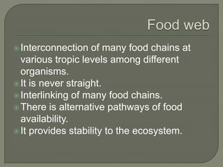 Food chain and food web | PPTX