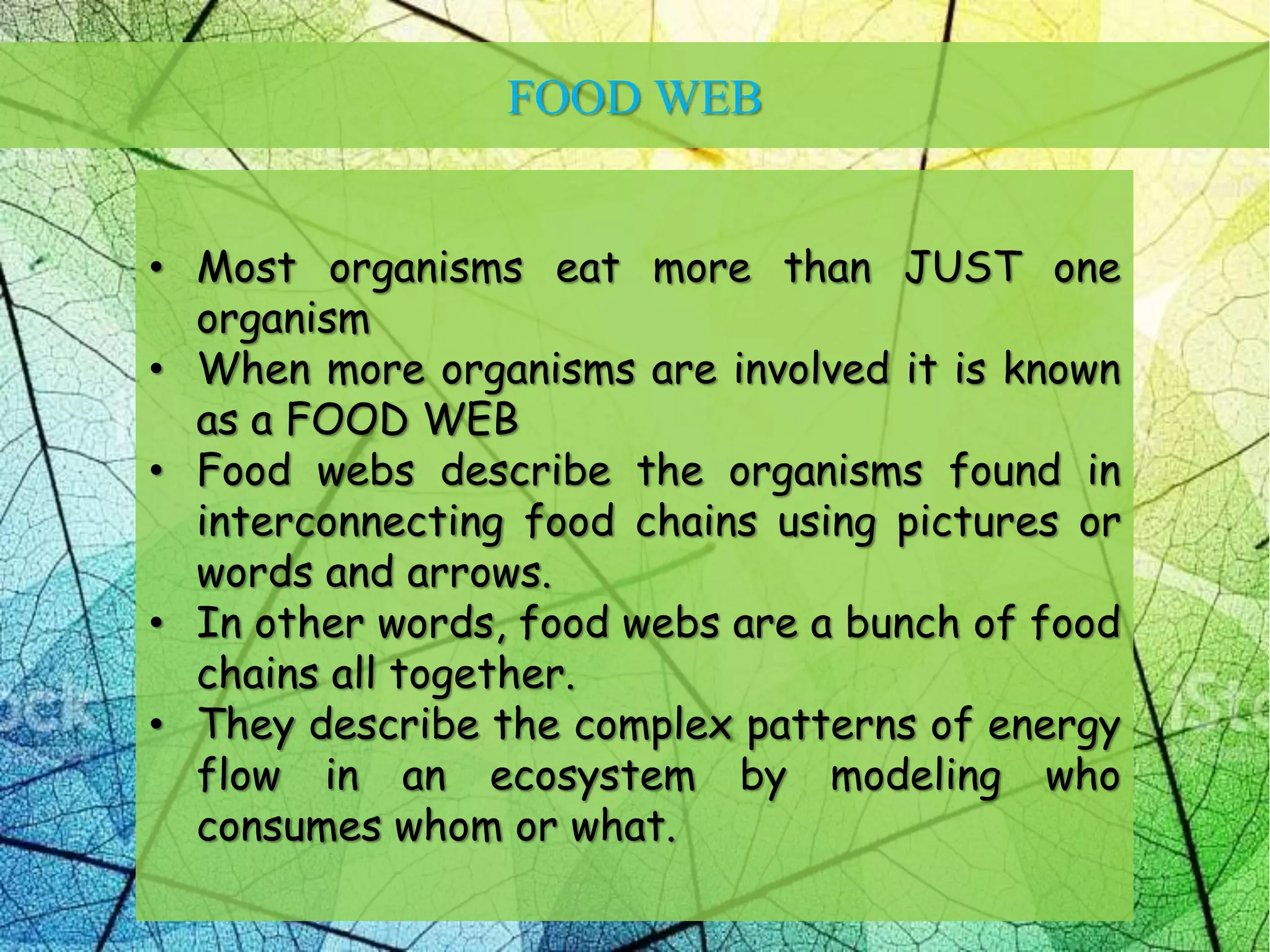 Food Chain and Food Web | PPTX