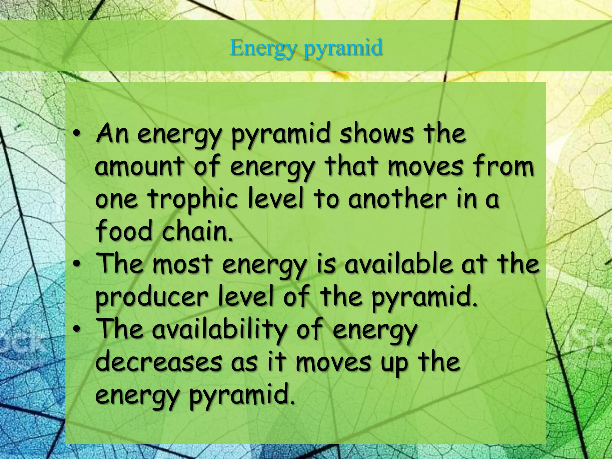 Food Chain and Food Web | PPTX