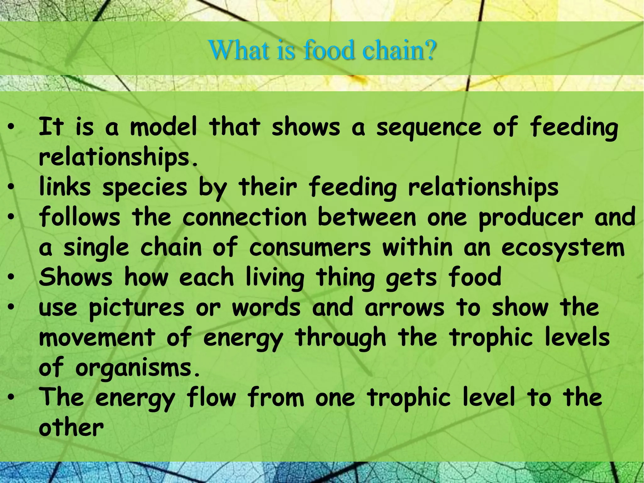 Food Chain and Food Web | PPTX