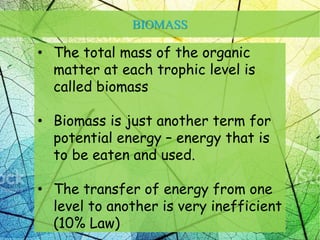 Food Chain and Food Web | PPTX