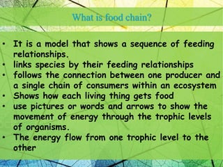 Food Chain and Food Web | PPTX