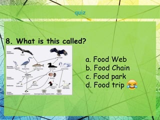Food Chain and Food Web | PPTX