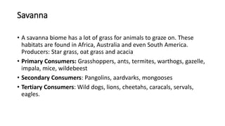 Food chain and food web | PPTX | Reptiles | Pets