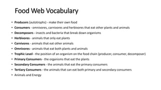 Food chain and food web | PPTX | Reptiles | Pets