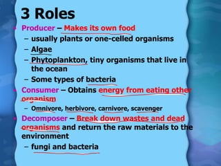 FOOD CHAIN AND FOOD WEB.ppt