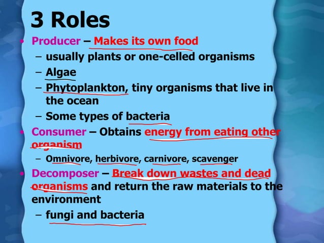 FOOD CHAIN AND FOOD WEB.ppt | Environment | Science