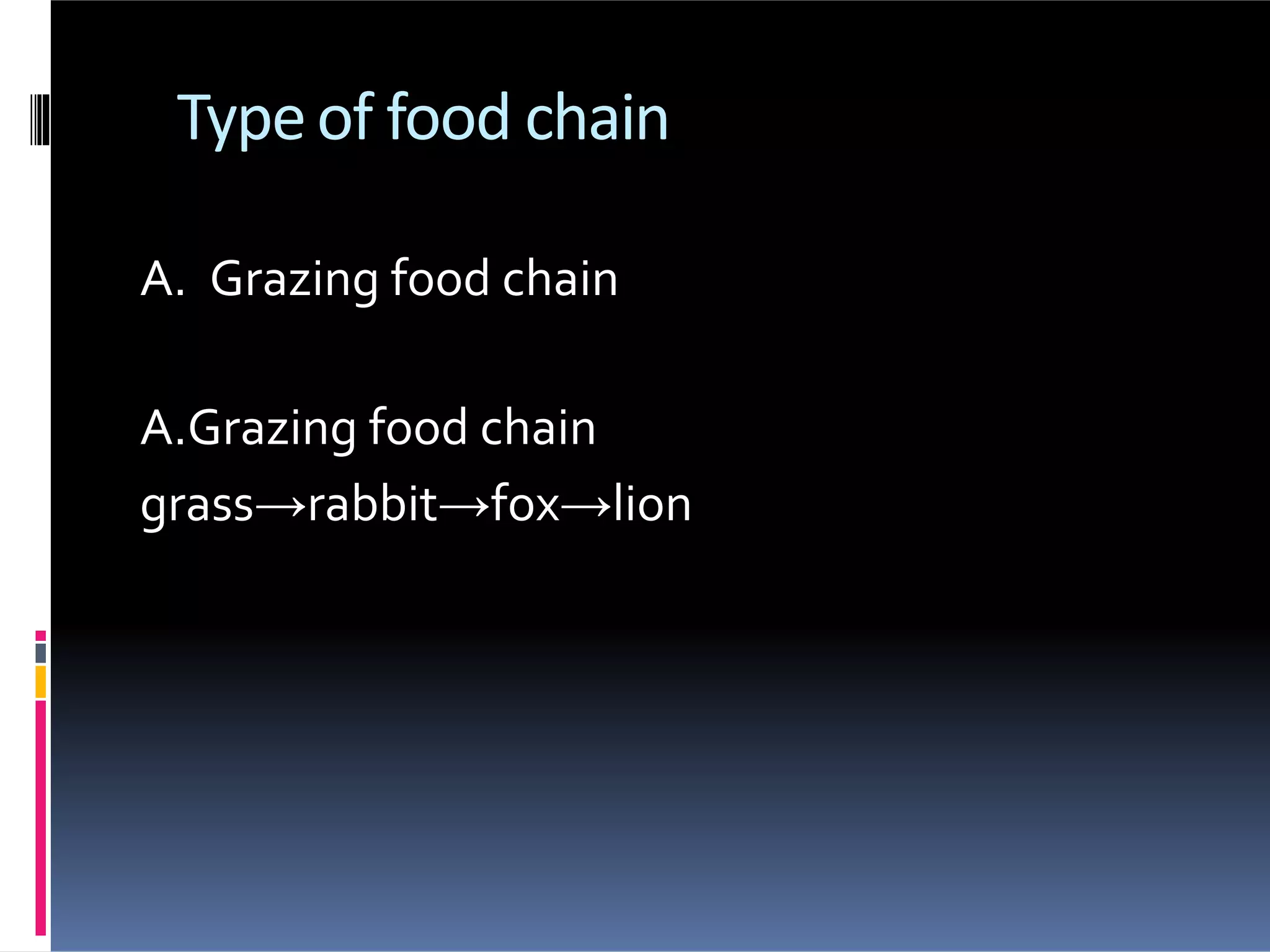 Food Chain and Food Web.pptx