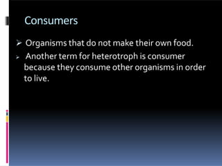 Food Chain and Food Web.pptx