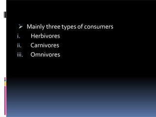 Food Chain and Food Web.pptx