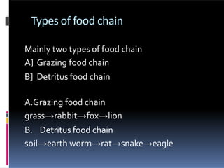 Food Chain and Food Web.pptx
