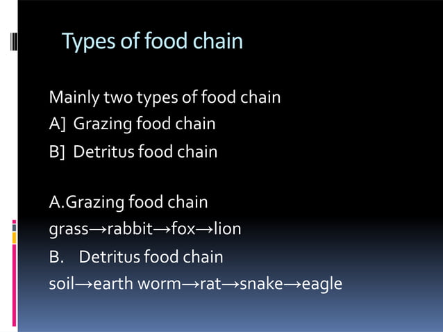 Food Chain and Food Web.pptx