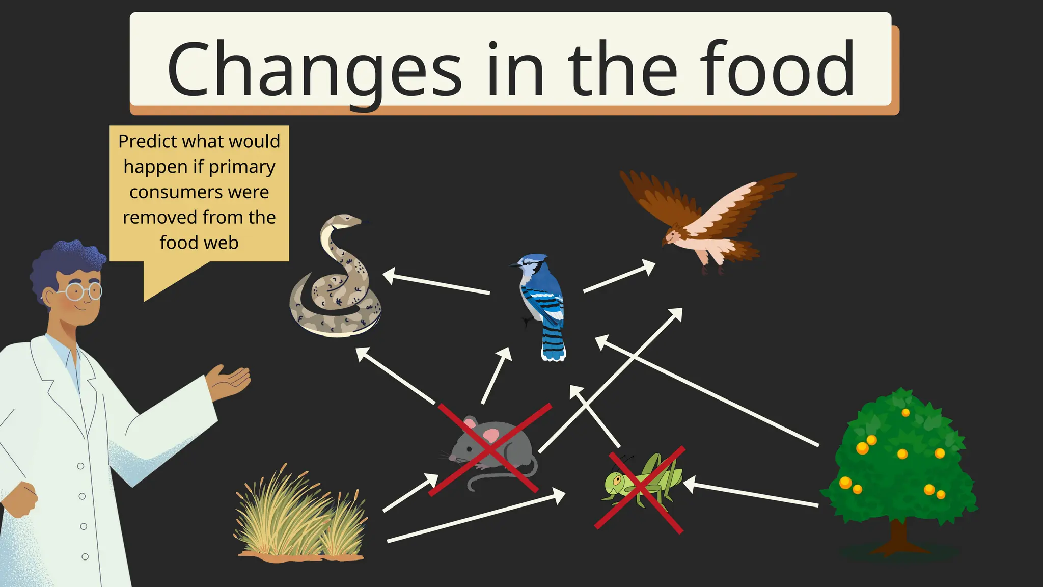 FOOD CHAIN AND FOOD WEB and Different.pptx