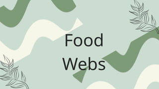 FOOD CHAIN AND FOOD WEB and Different.pptx