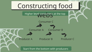 FOOD CHAIN AND FOOD WEB and Different.pptx