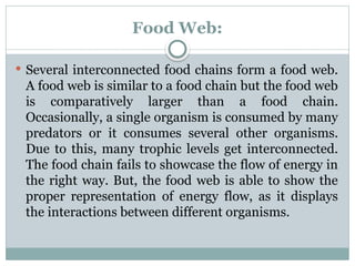 Food Chain and Food Web Power Point Presentation | PPTX