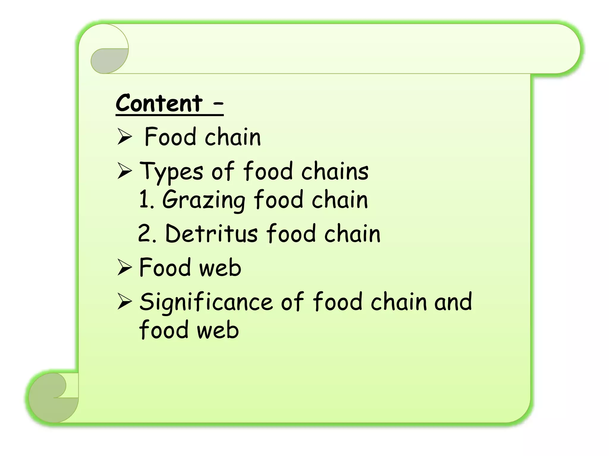 Food chain and food web | PPTX