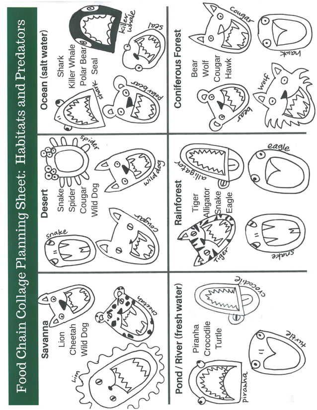 Food chain and predator planner | PDF