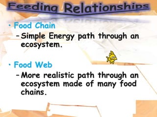 Food chain and webs | PPTX