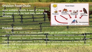 Food chain (english) | PPTX