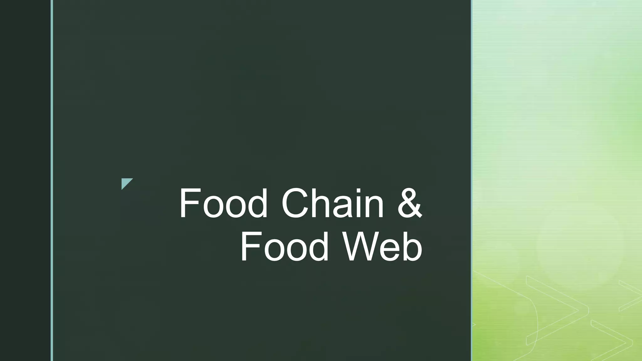 Food chain & food web | PPT