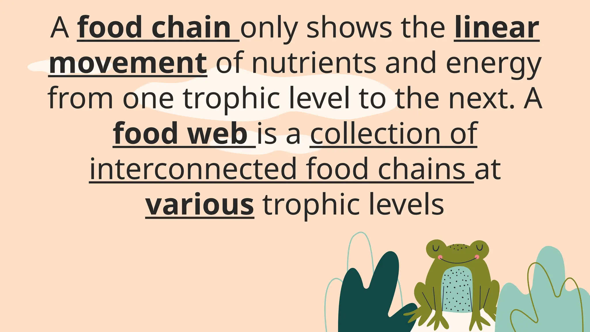 Food Chain & Food Web - This PowerPoint presentation discusses about ...