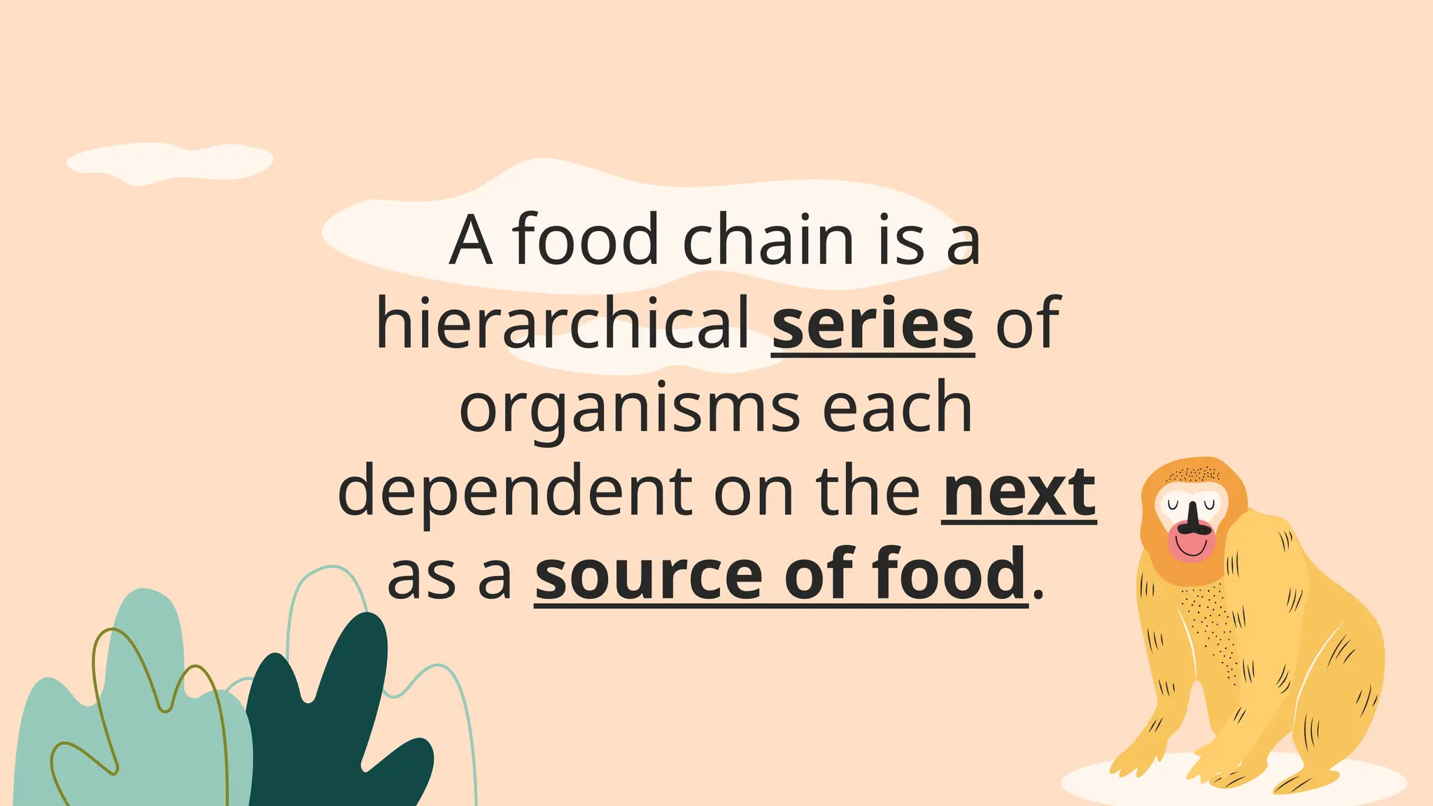 Food Chain & Food Web - This PowerPoint presentation discusses about ...