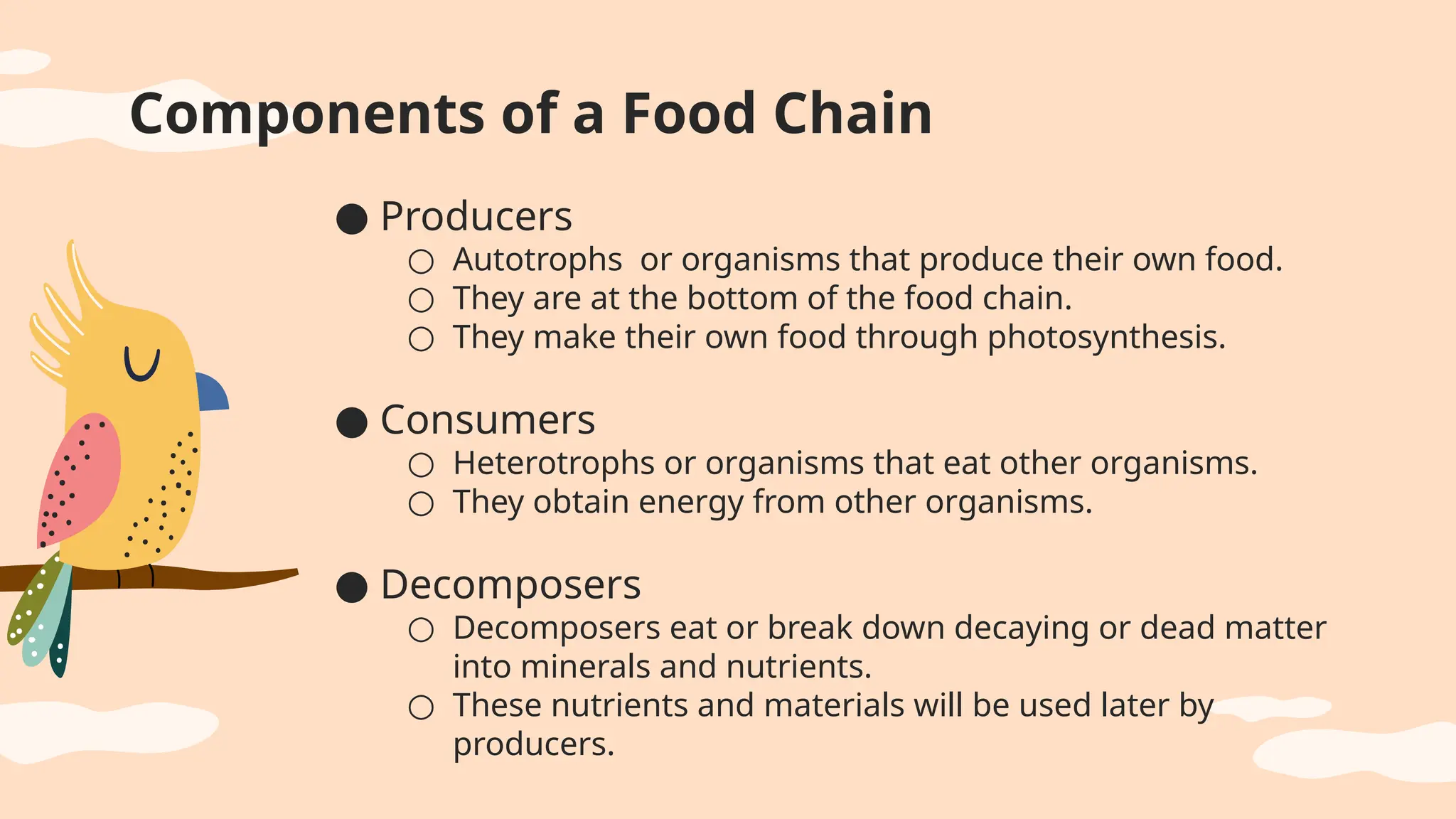 Food Chain & Food Web - This PowerPoint presentation discusses about ...
