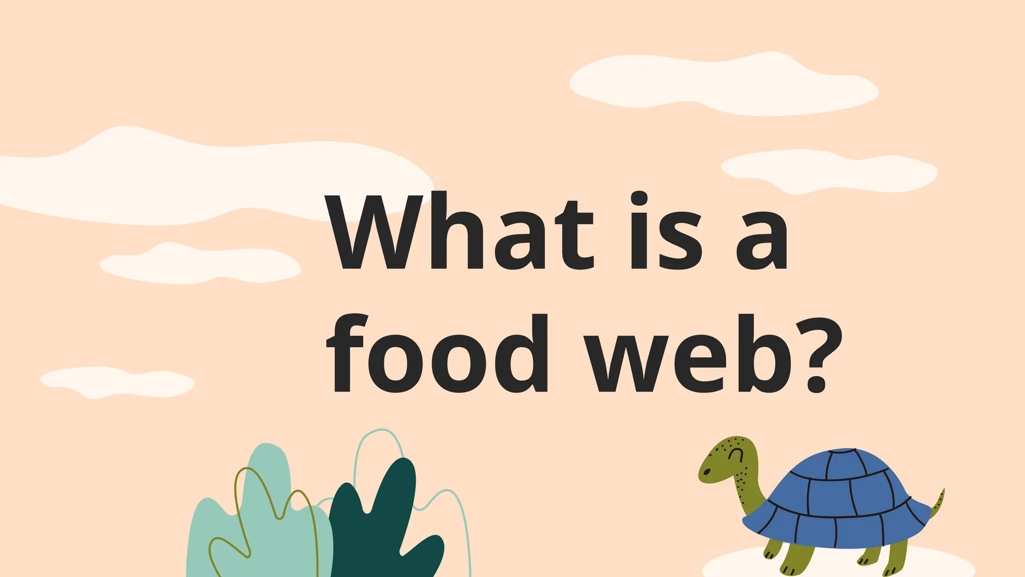 Food Chain & Food Web - This PowerPoint presentation discusses about ...