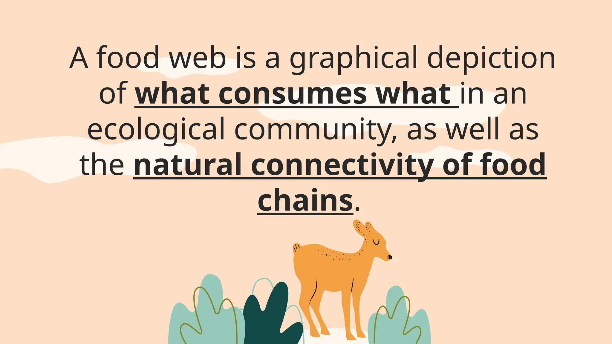 Food Chain & Food Web - This PowerPoint presentation discusses about ...