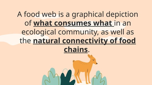 Food Chain & Food Web - This PowerPoint presentation discusses about ...