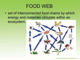 Food chain foodweb | PPSX