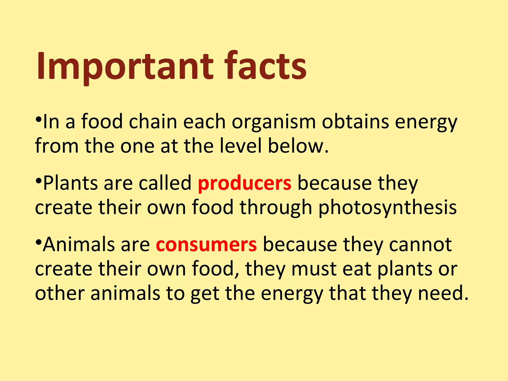 Foodchain foodweb and ecological cycle | PPT