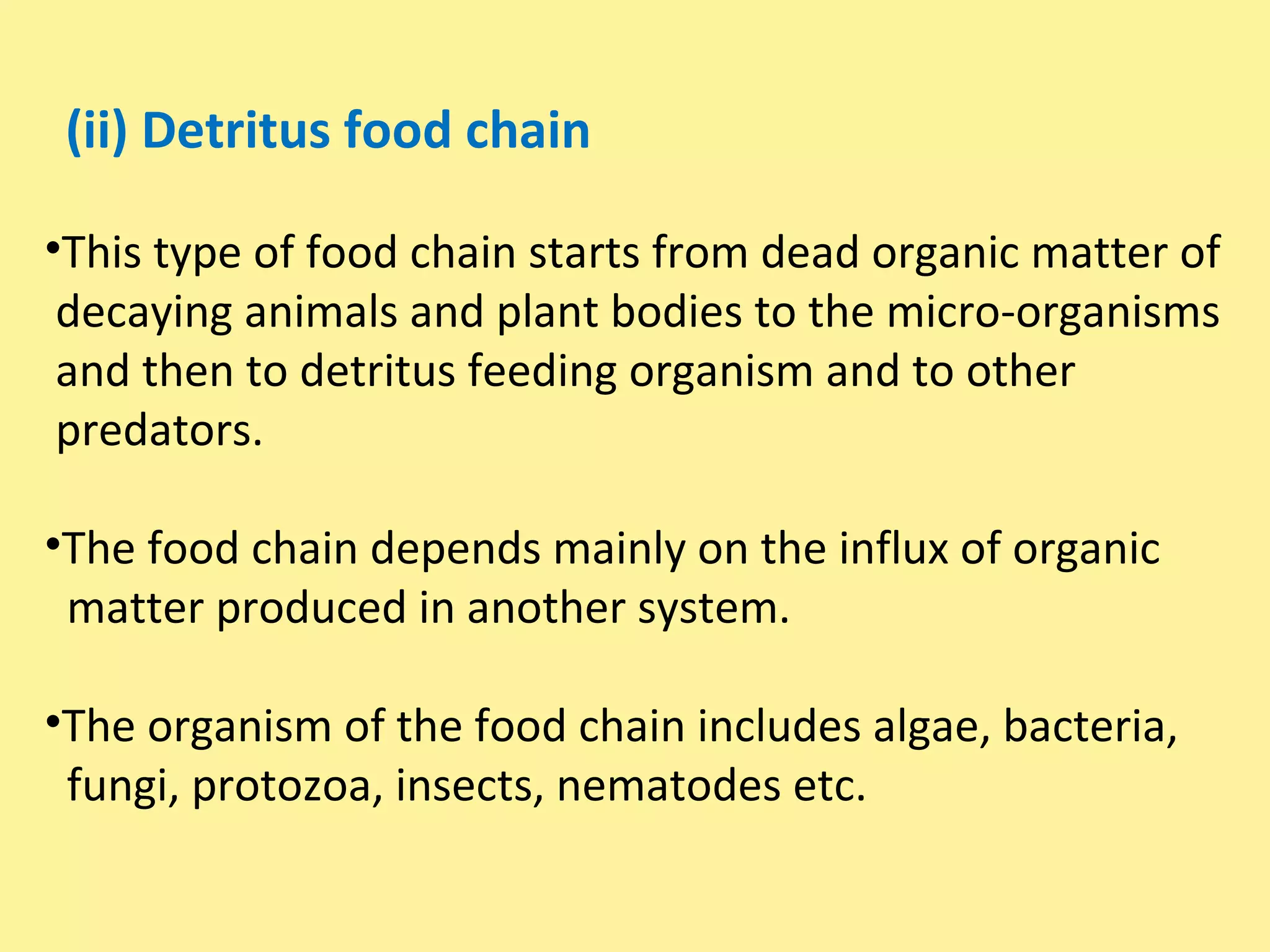 Foodchain foodweb and ecological cycle | PPT